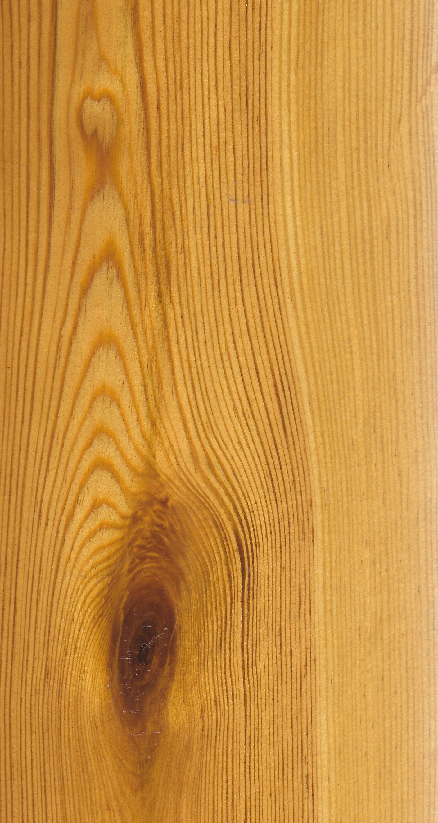 WDS - Wood Sample - Taste Design Inc.